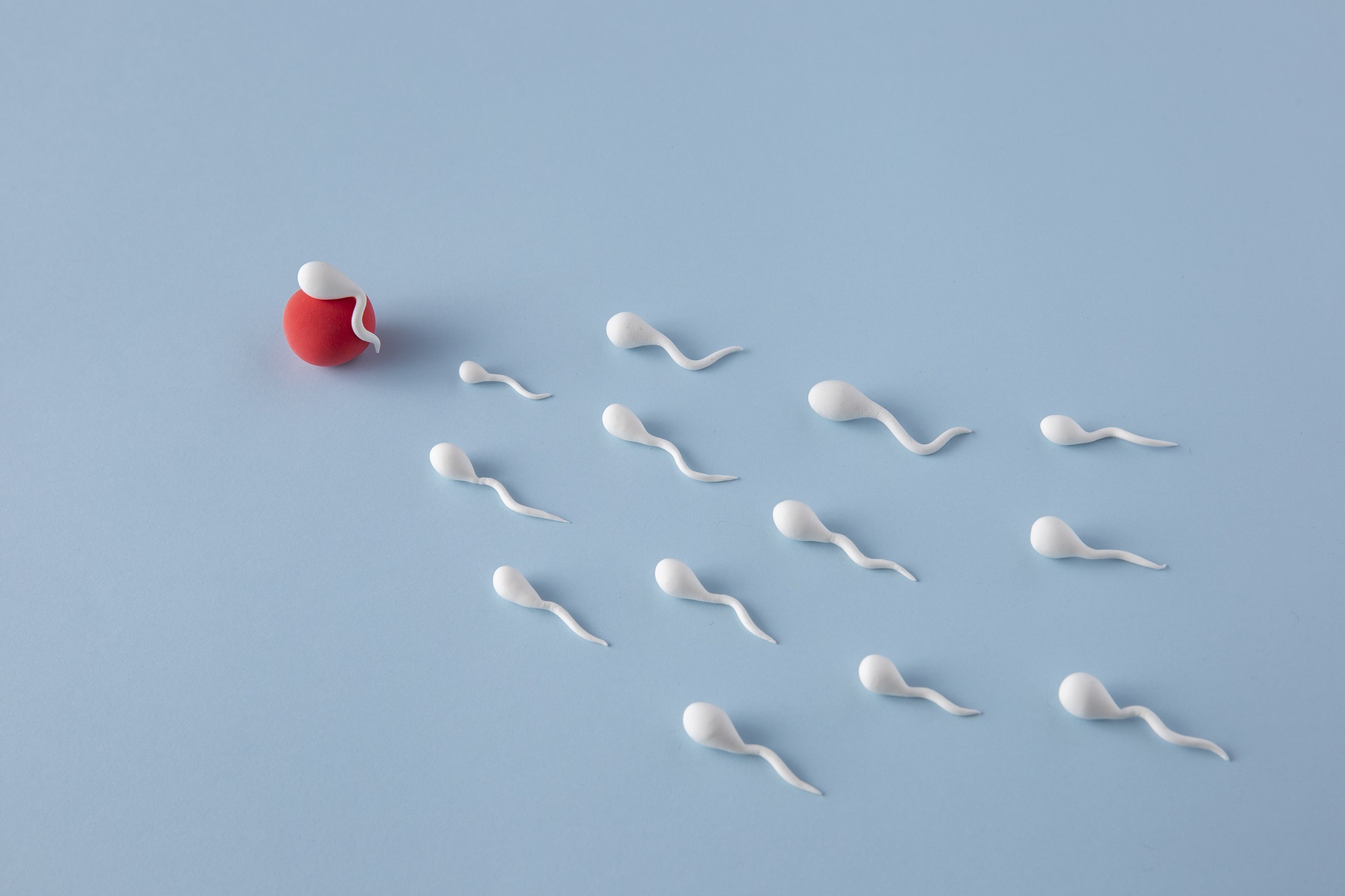 Fertility Preservation: Understanding Your Options and Benefits